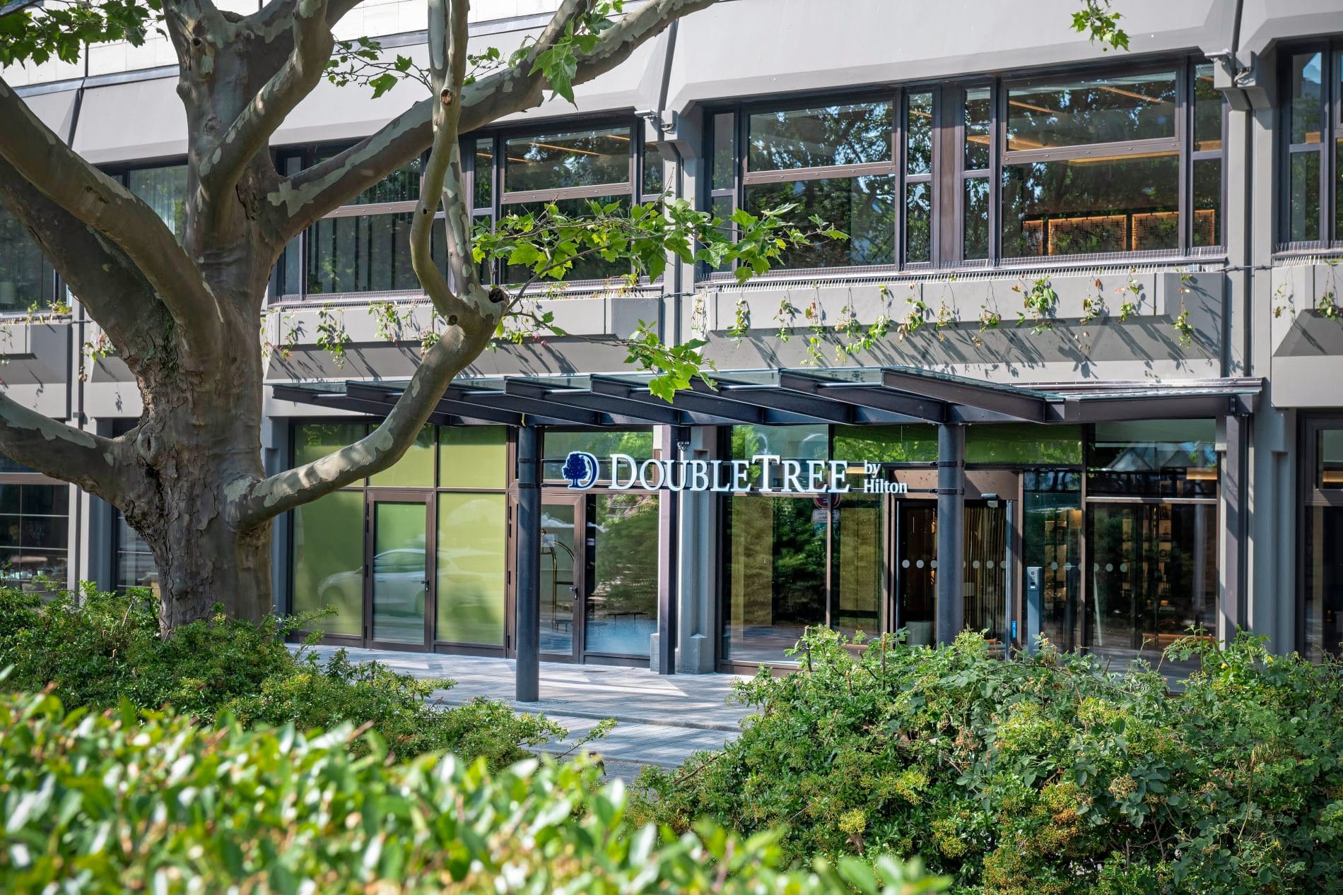 Double Tree by Hilton startet in Berlin - Tophotel.de